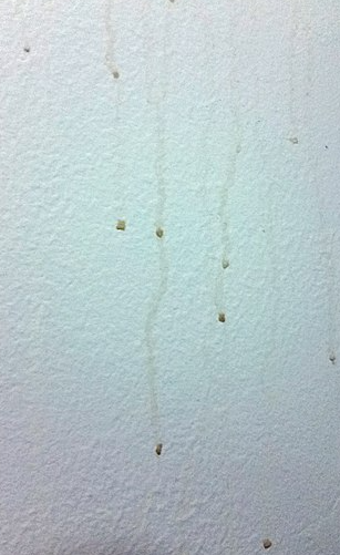 Surfactant Leaching – Rust-Oleum